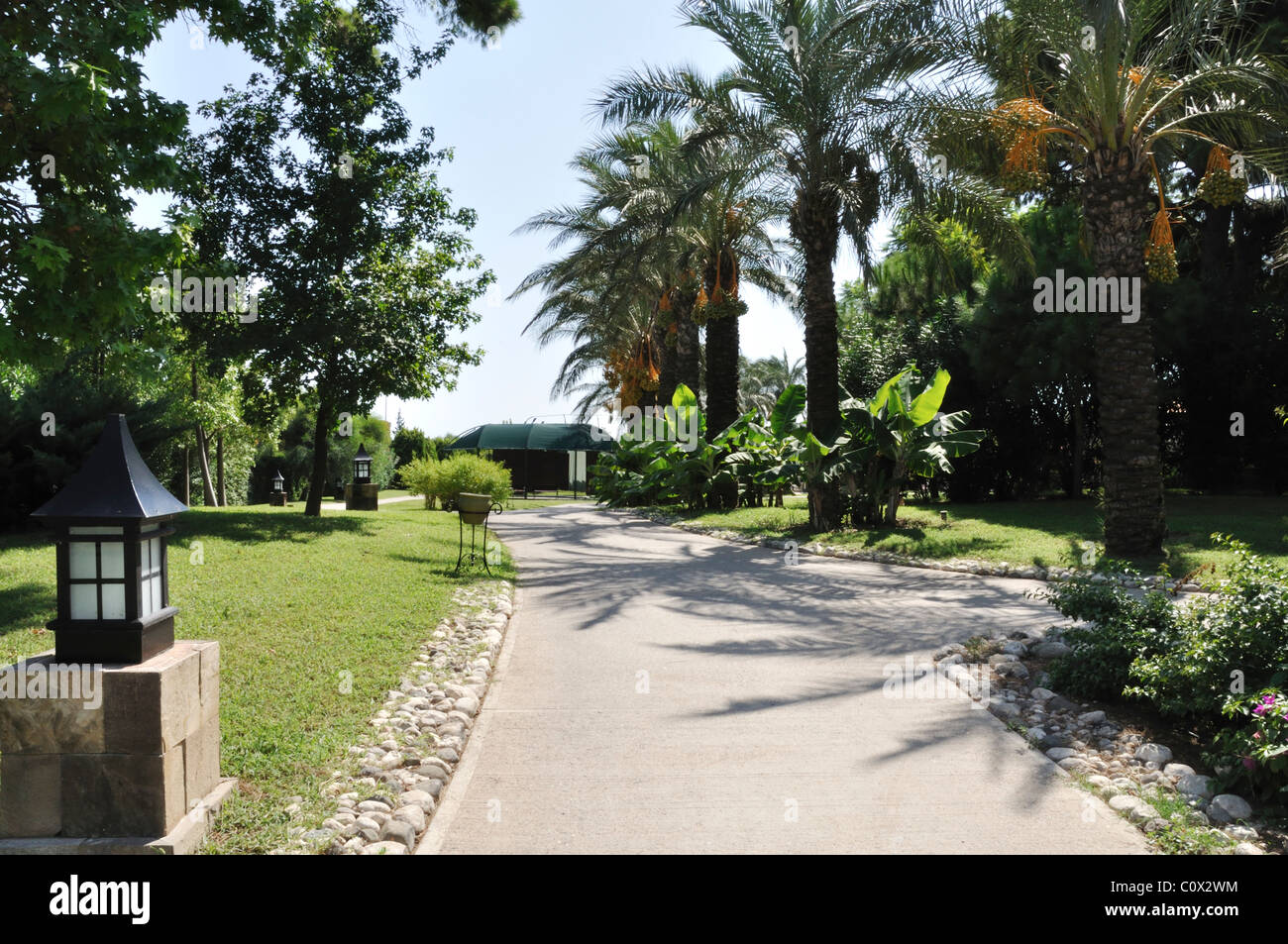 Tropical garden walk way with palms Stock Photo - Alamy