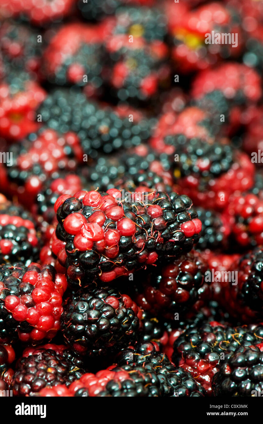 Lots of berries arranged at the background Stock Photo - Alamy