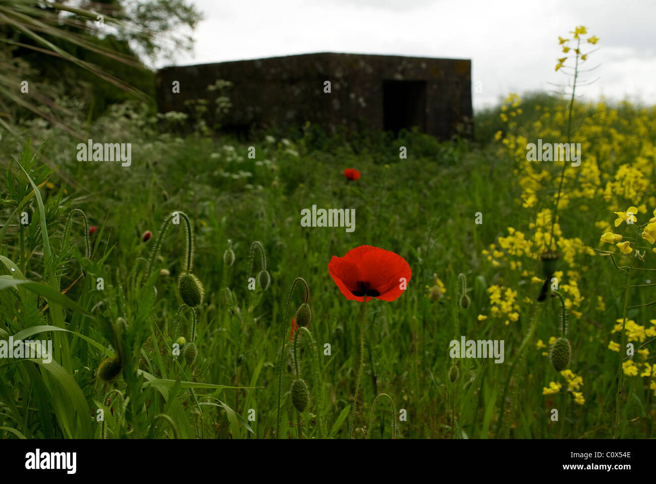 Pill box world war ii hi-res stock photography and images - Alamy