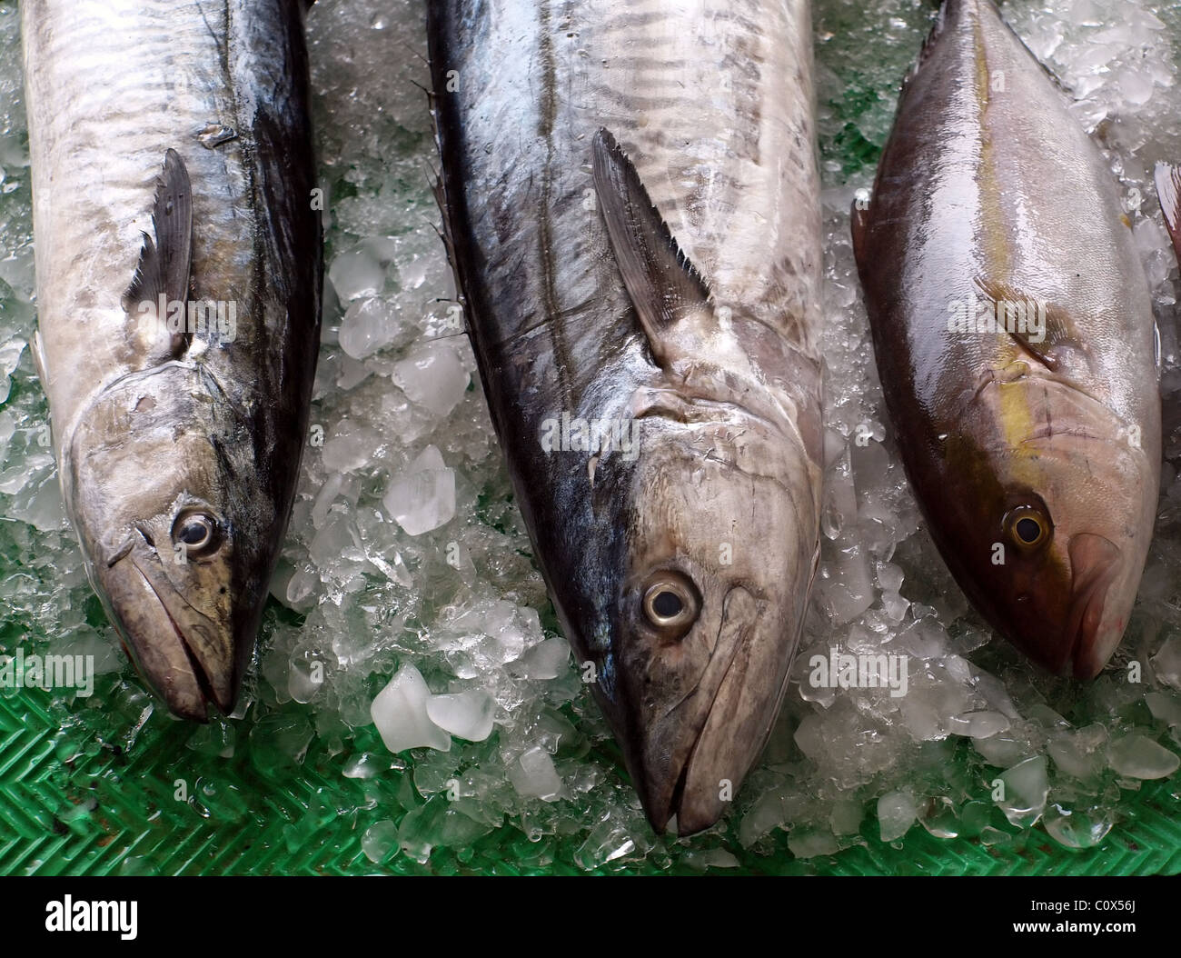 Large fresh fish are being offered at an outdoor market in Taiwan Stock ...