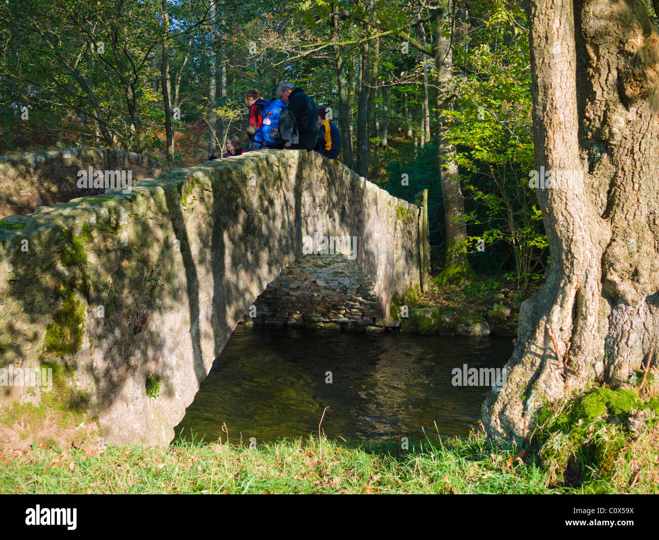 River irt bridge hi-res stock photography and images - Alamy