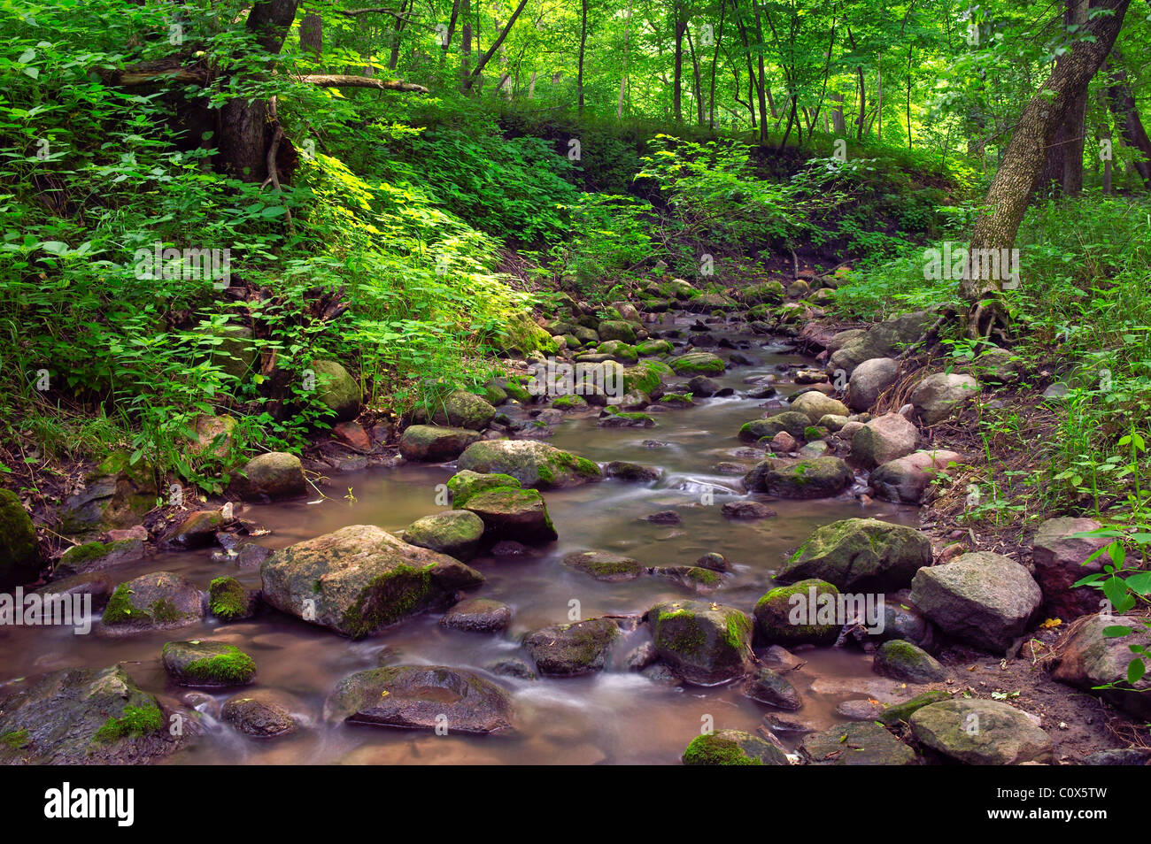 Rock Creek, Kilen Woods State Park, Jackson County, Minnesota Stock ...