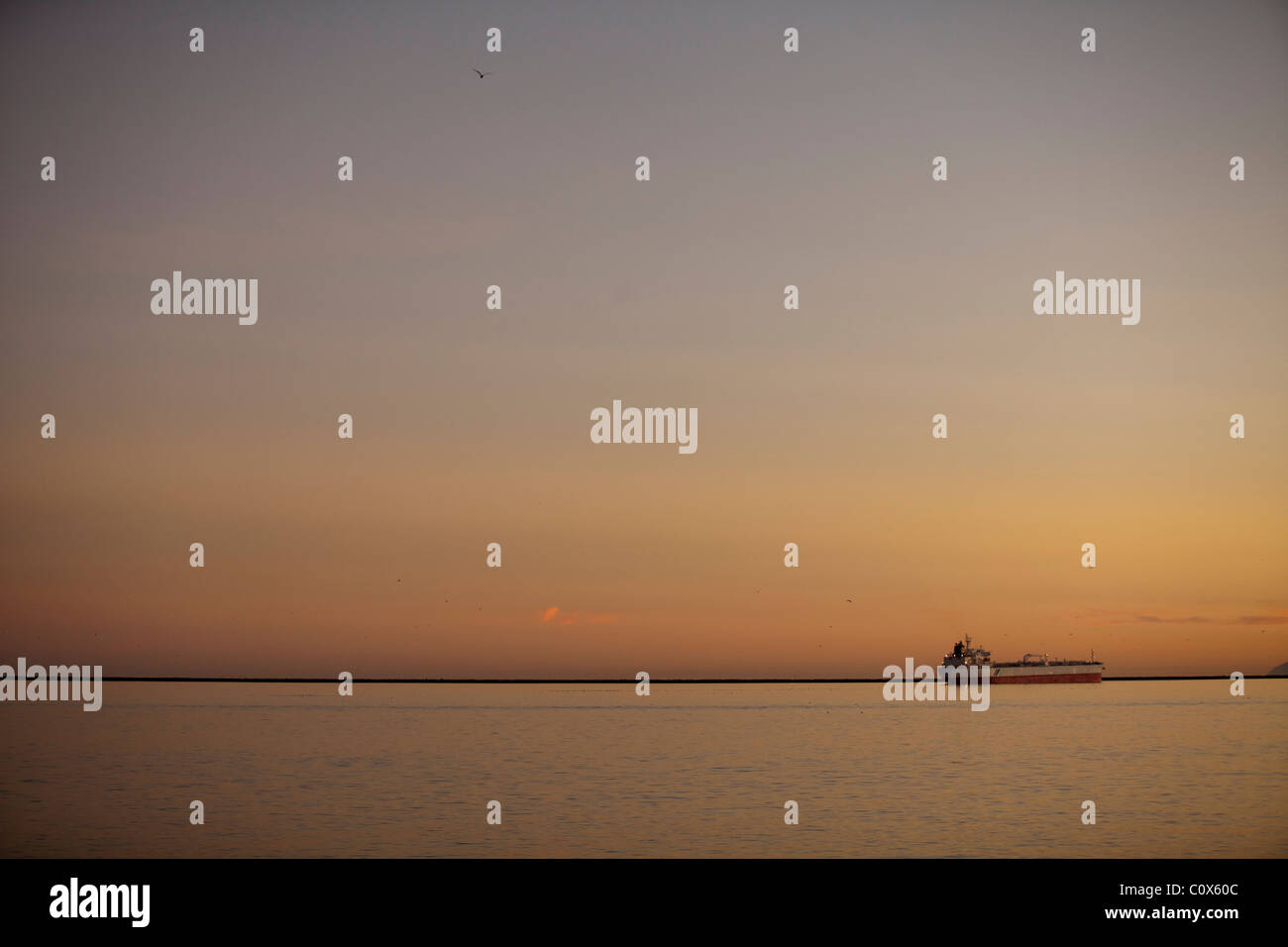 Oil tanker ship hi-res stock photography and images - Alamy