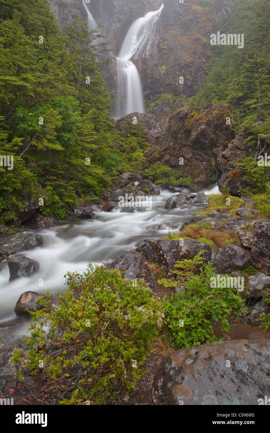 Waitonga Falls, Tongariro National Park, North Island, New Zealand (on ...