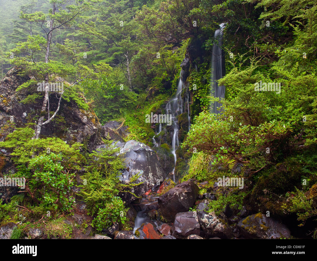 waterfall, Tongariro National Park, North Island, New Zealand Stock ...