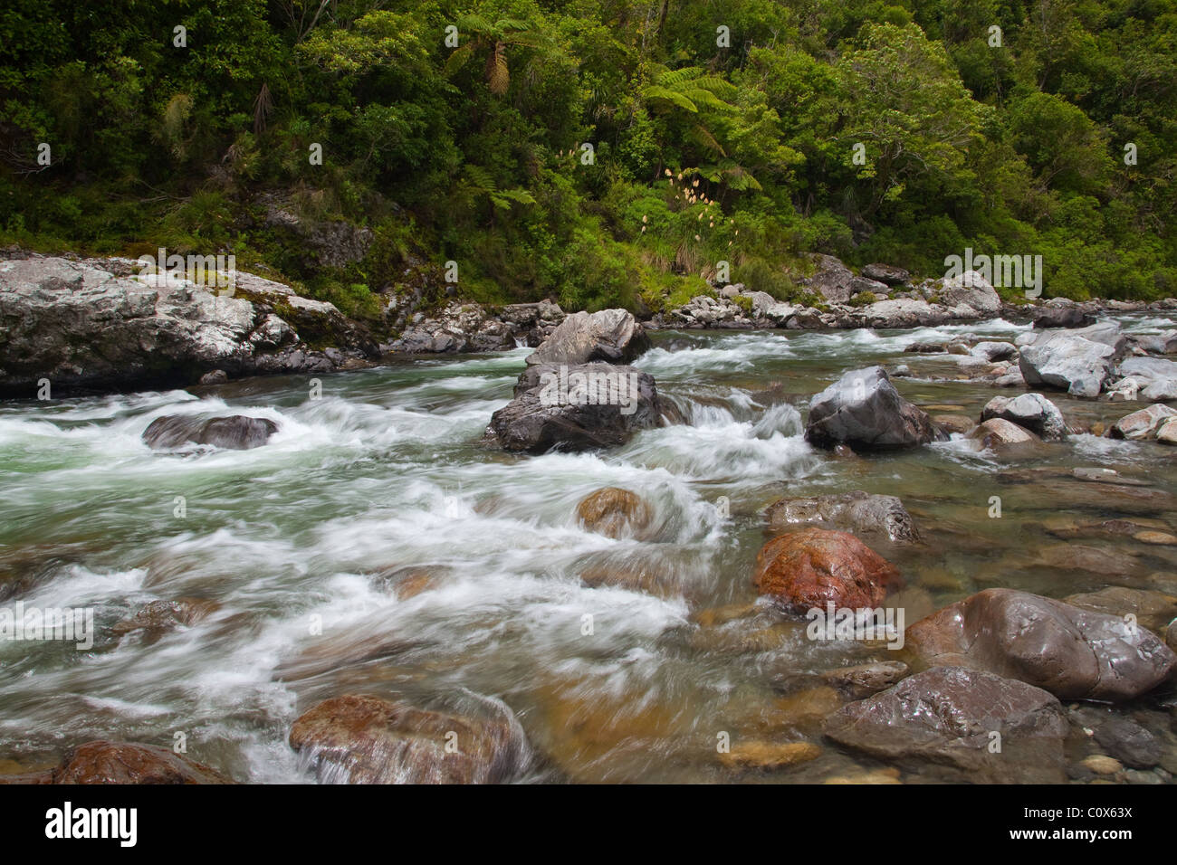 Otaki River, Tararua Forest Park, North Island, New Zealand Stock Photo ...