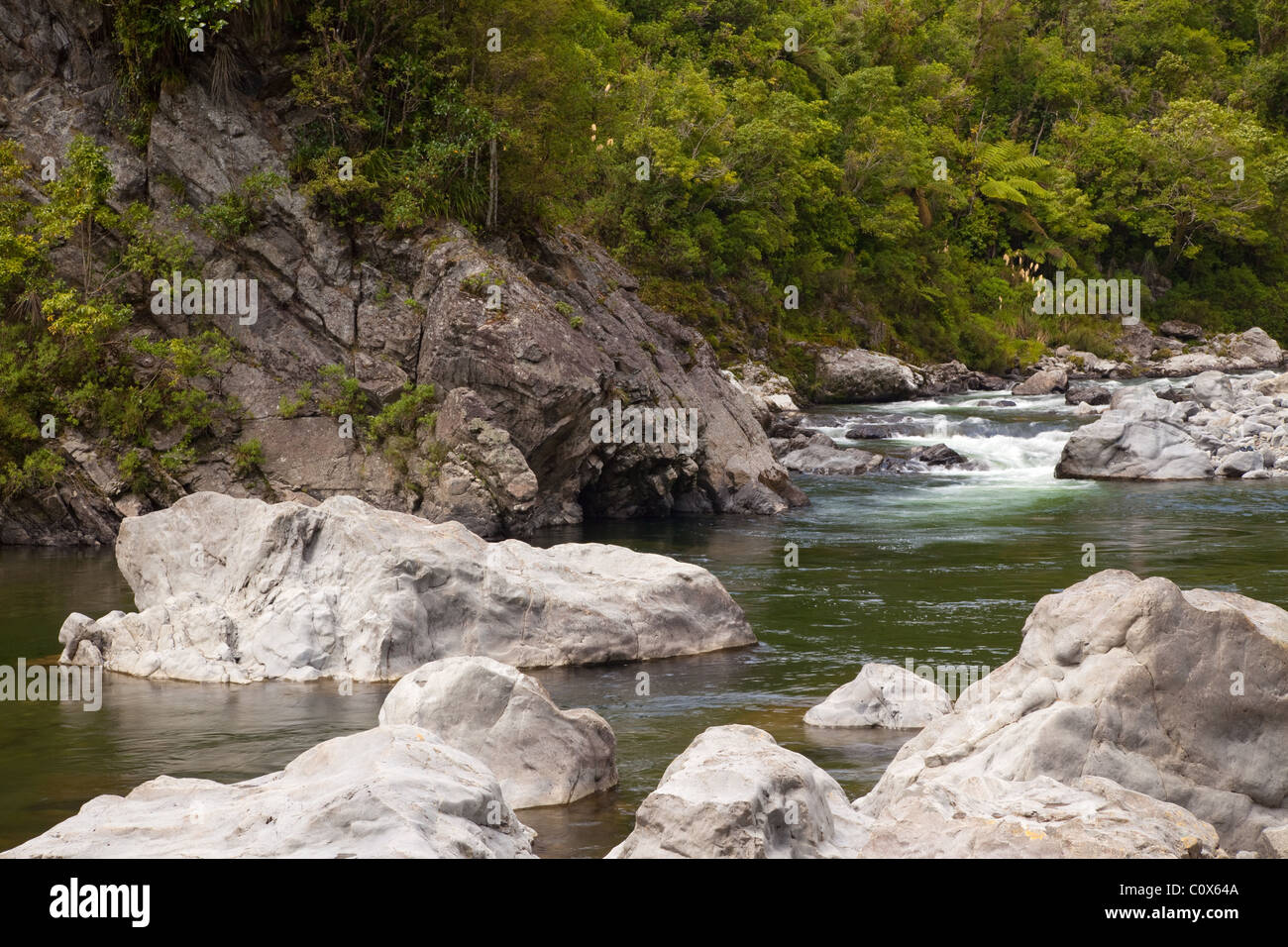 Otaki River, Tararua Forest Park, North Island, New Zealand Stock Photo ...