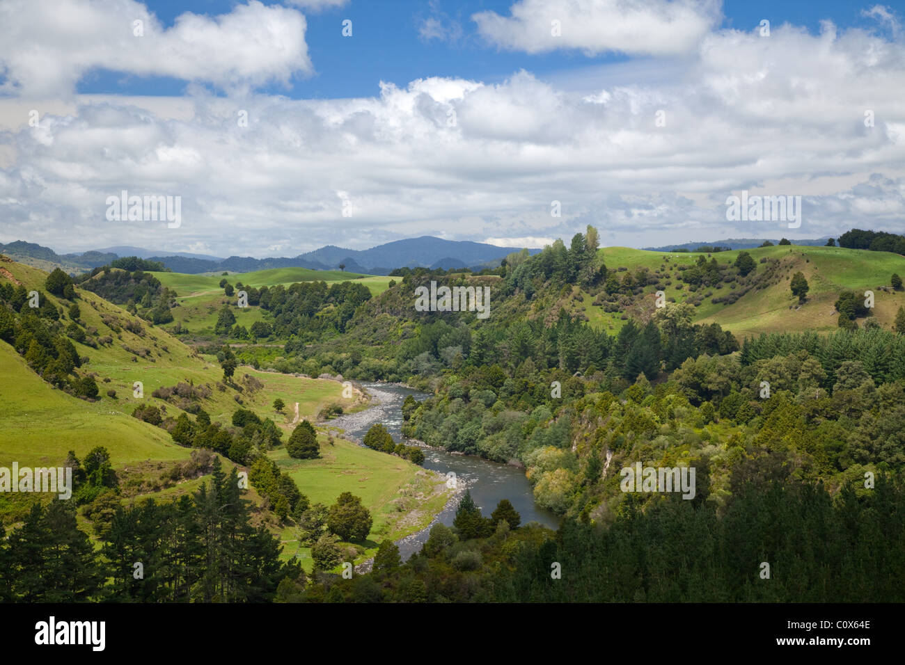 Piriaka Lookout Stock Photos & Piriaka Lookout Stock Images - Alamy