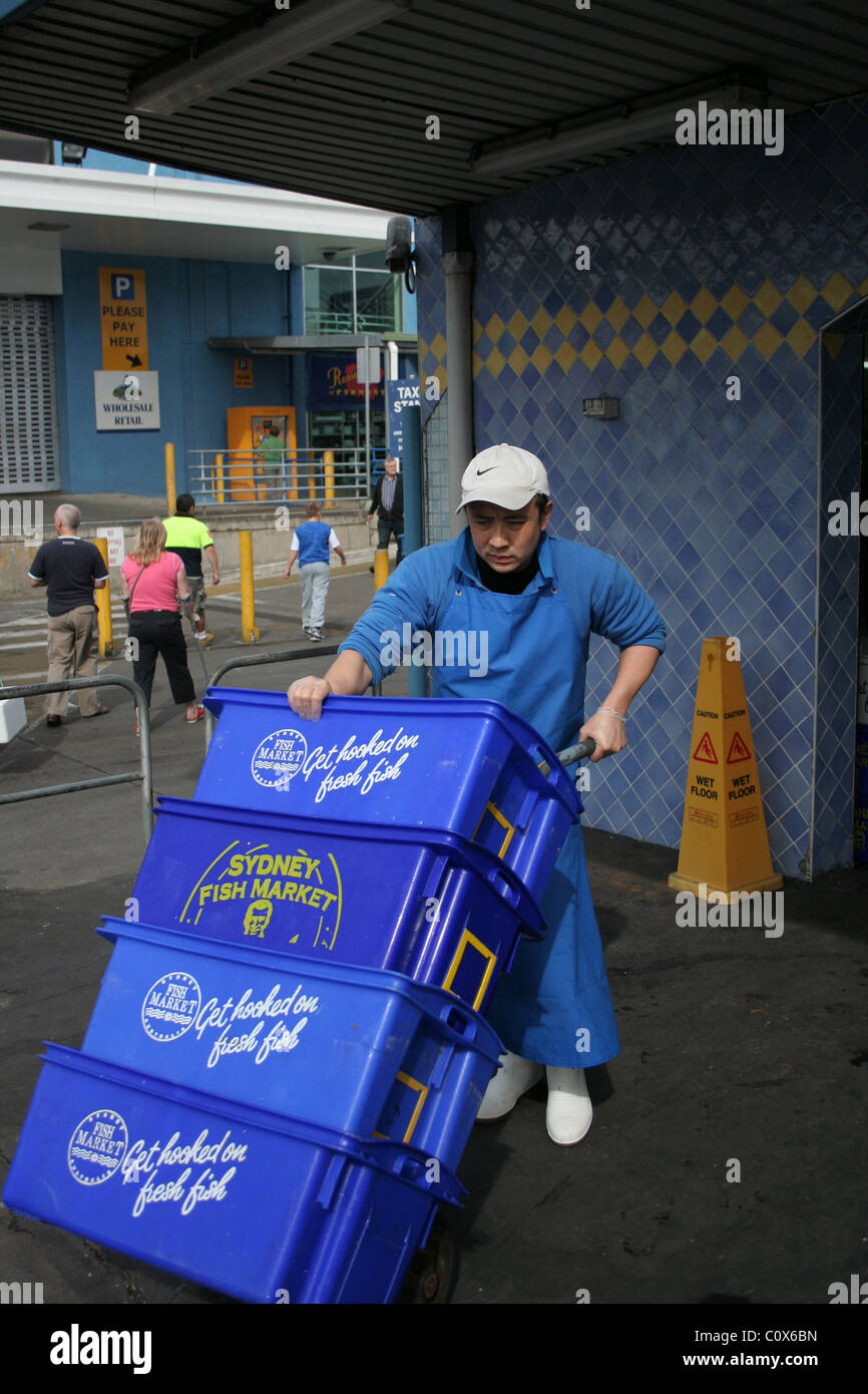 A man uses a trolley to move fresh fish at the Sydney Fish Market ...