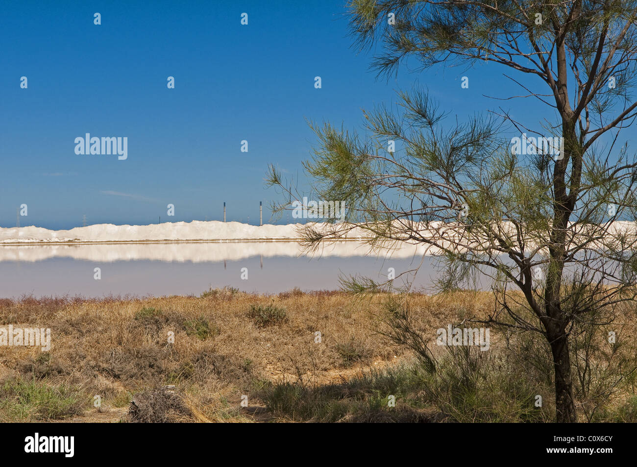 Australian wetland landscape hi-res stock photography and images - Alamy