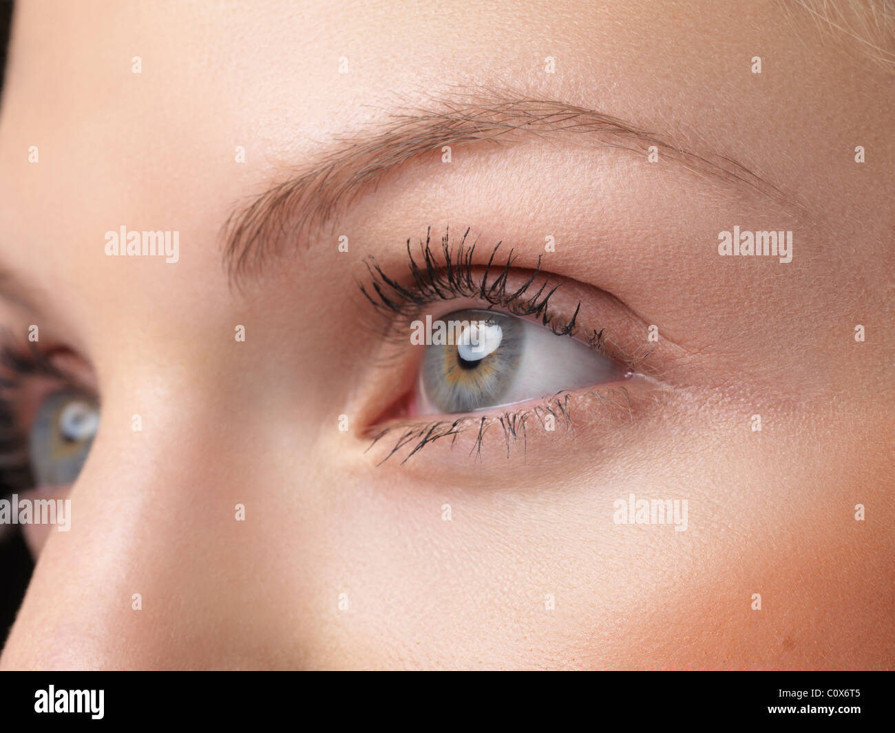 Close up female body parts hi-res stock photography and images - Alamy