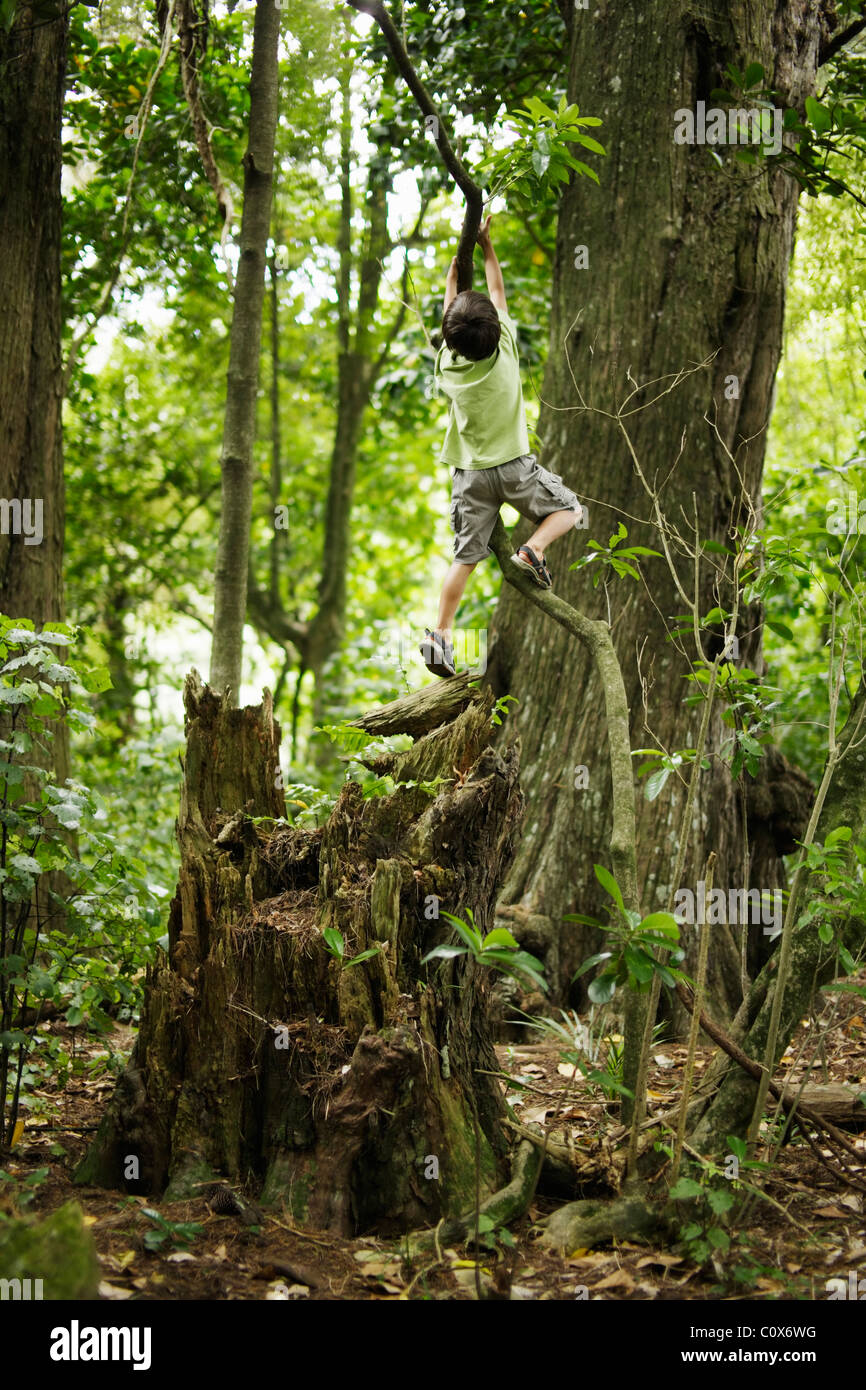 Child adventurous woods hi-res stock photography and images - Alamy