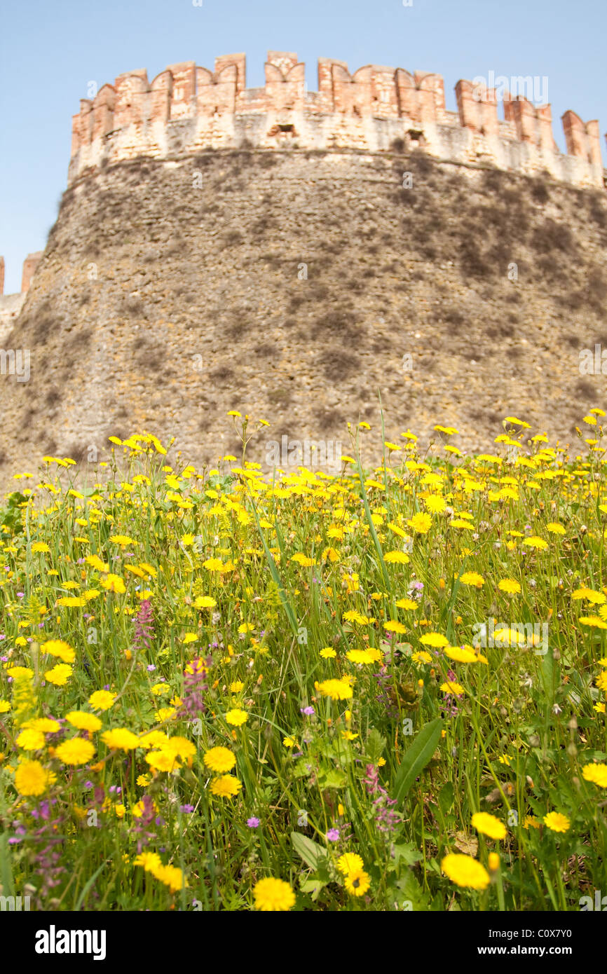 Castle with flowers in italy in wide Stock Photo - Alamy