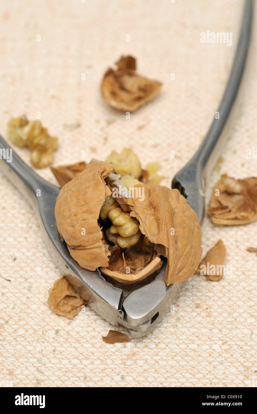 Cracked Walnut and nutcracker Stock Photo - Alamy