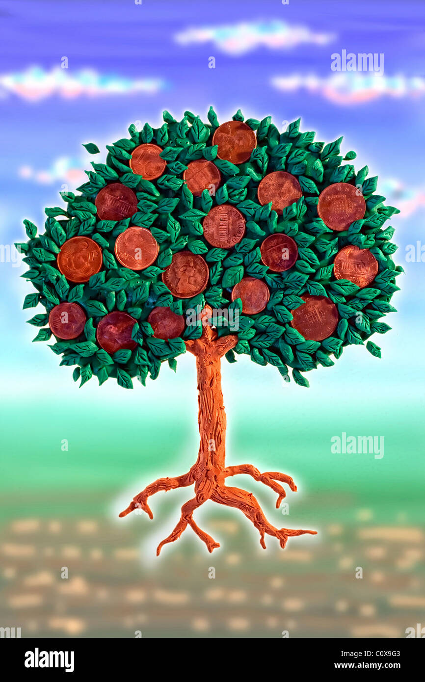 Money tree fruits leaves hi-res stock photography and images - Alamy