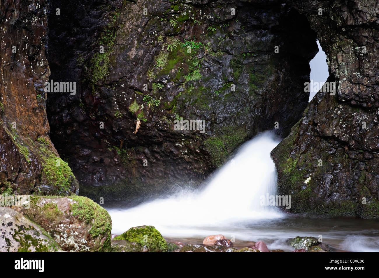 The Smuggler's Cave, Alva Glen, Alva, Clackmannanshire, Scotland, UK ...