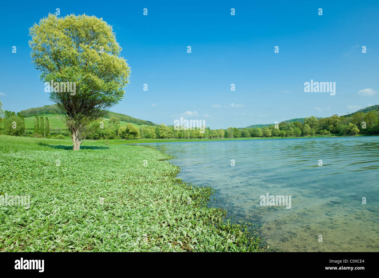 Natural mountain lake with transparent water Stock Photo - Alamy