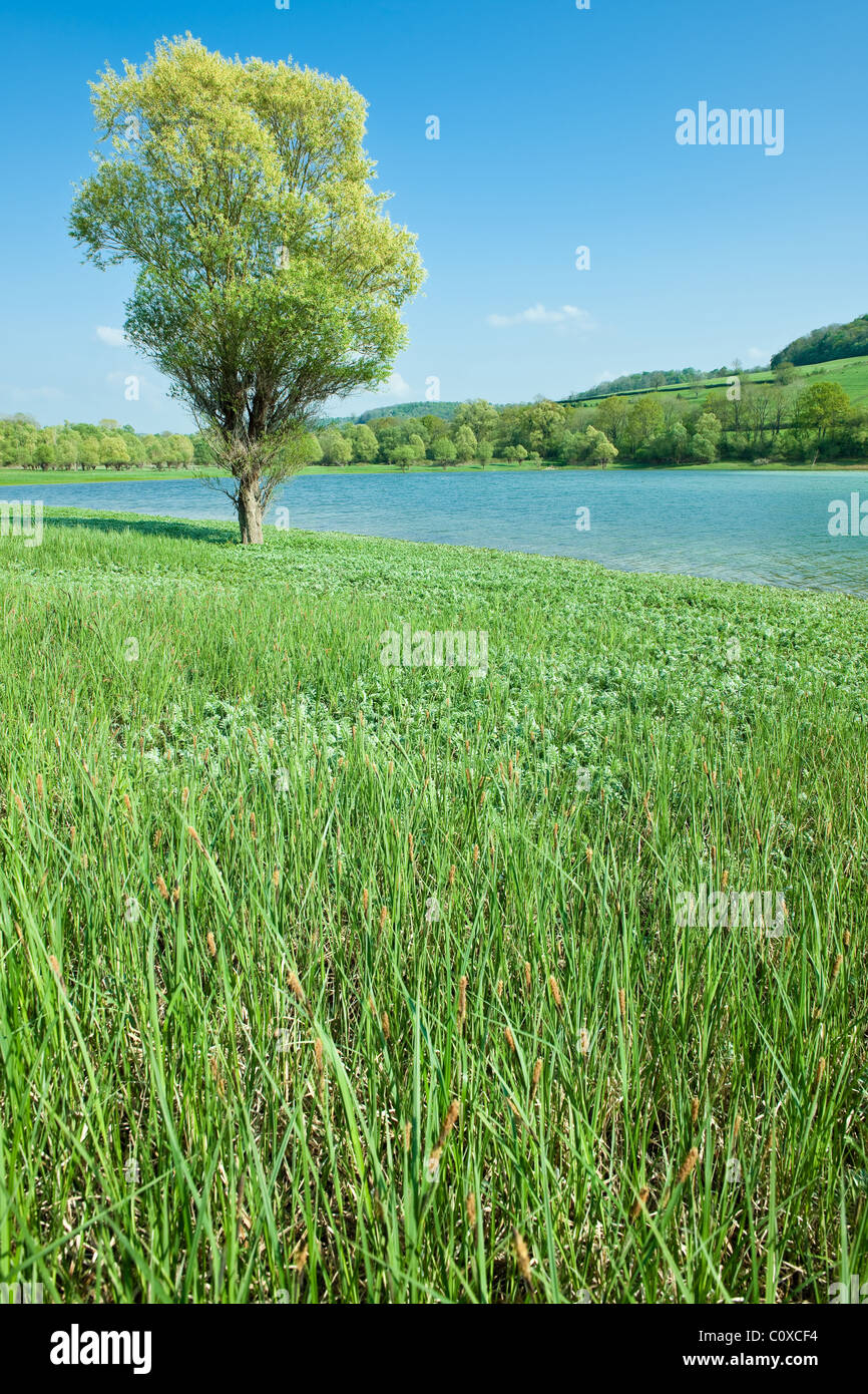 Clean mountain lake with green meadow Stock Photo - Alamy