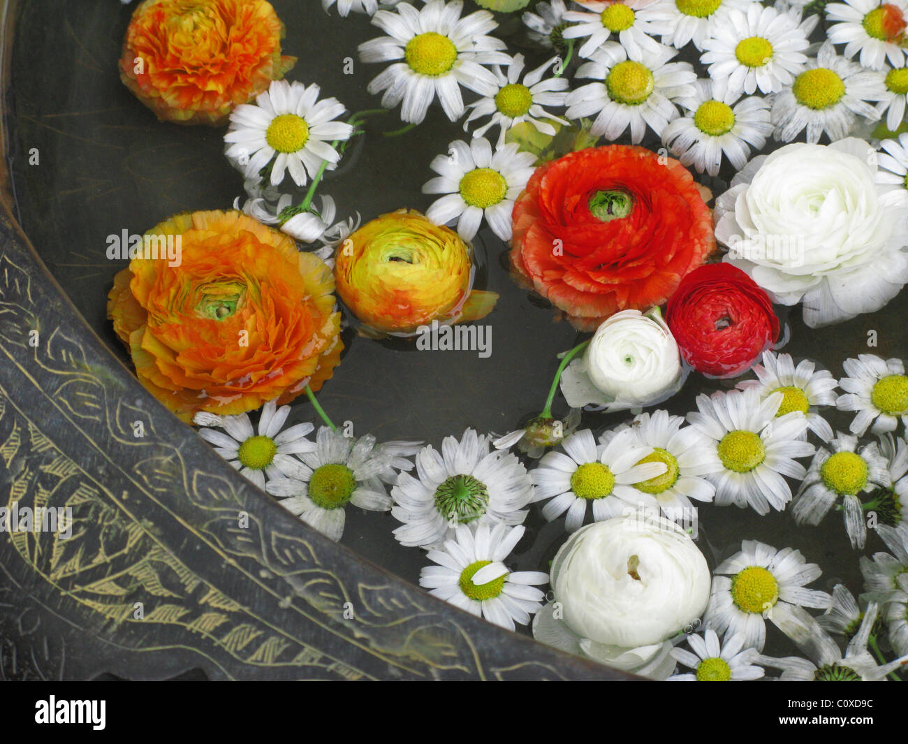 Flowers, Istanbul, Turkey Stock Photo - Alamy