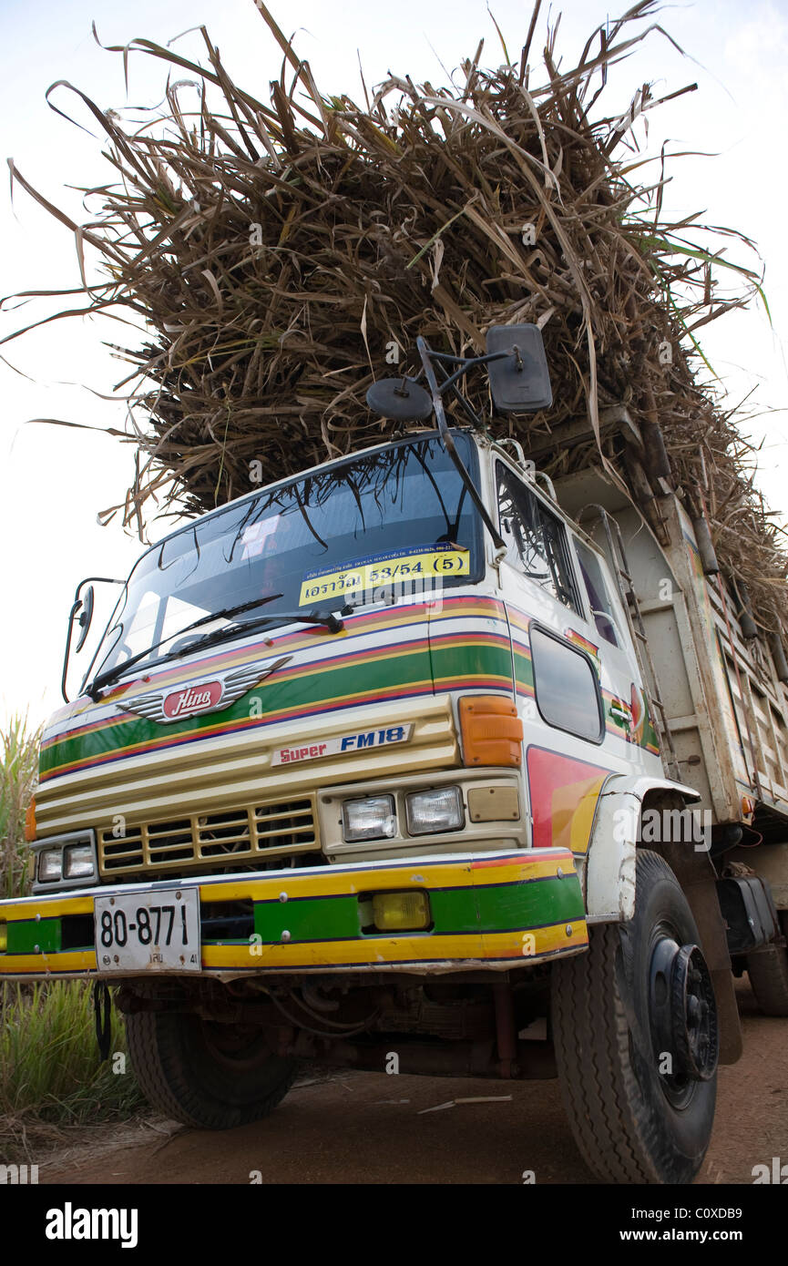 An old and creaky Thai lorry transporting sugar cane to the local ...