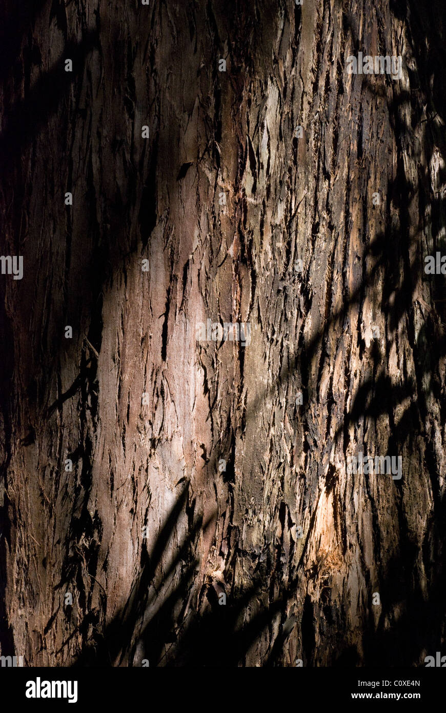 New zealand wood timber hi-res stock photography and images - Alamy