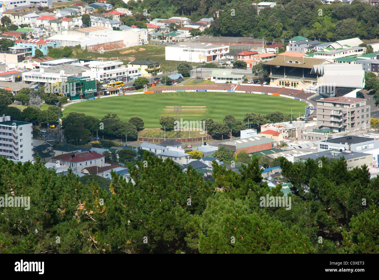 View over Wellington Basin Reserve Cricket Ground, Wellington, New Zealand Stock Photo - Alamy