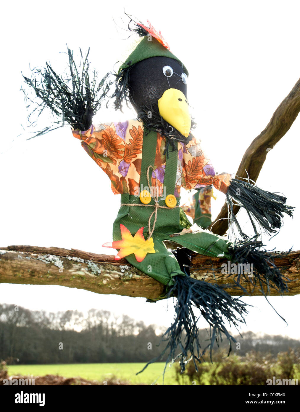 Scarecrow Bird Scare Crow High Resolution Stock Photography and Images ...