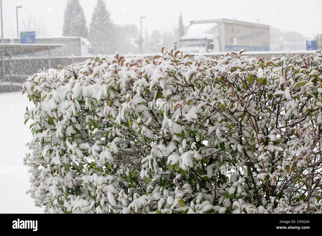 Cool pisa hi-res stock photography and images - Alamy