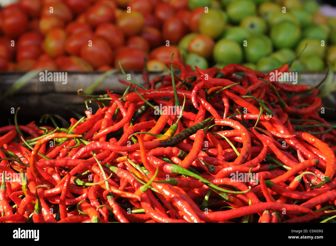 Red Chillies taken in a street market in Manado, Sulawesi, Indonesia ...