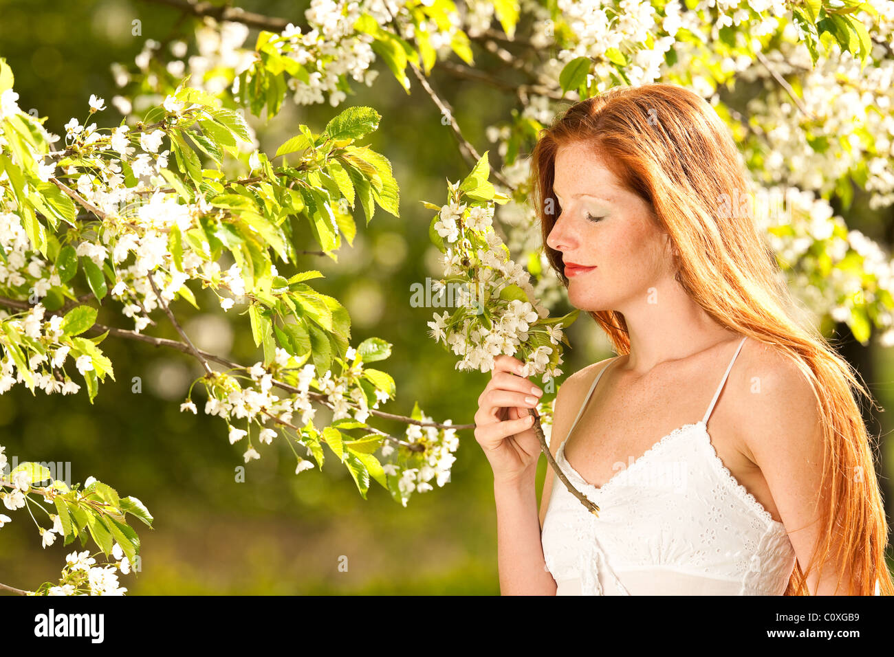 Red hair woman smelling blossom of cherry tree on a sunny day Stock ...