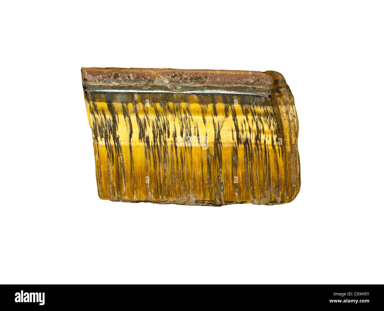 Crocidolite Stock Photos & Crocidolite Stock Images - Alamy