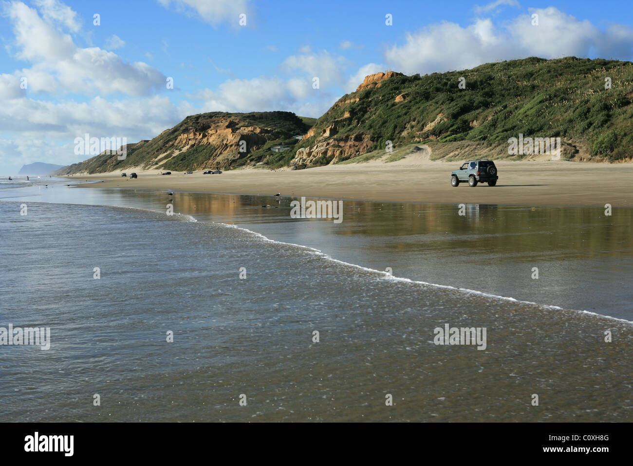 Baylys or Bayly's beach North Island New Zealand Stock Photo - Alamy