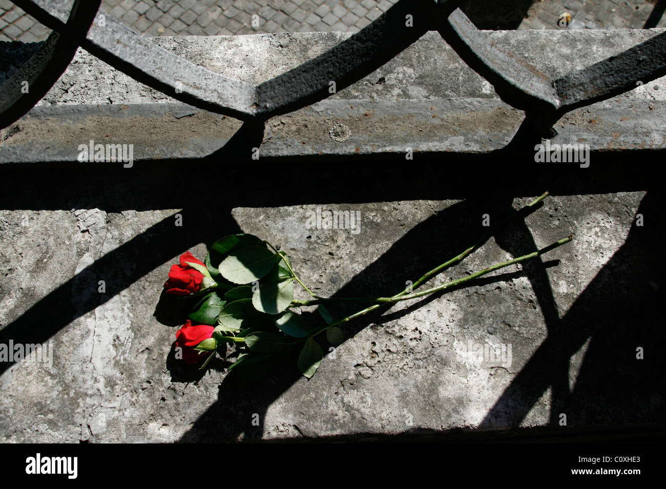 two red roses left on floor in sun Stock Photo - Alamy