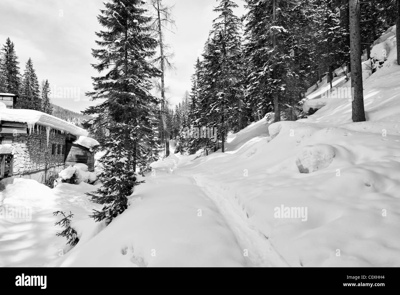 Cold Winter in the Heart of Dolomites, Veneto, Northern Italy Stock ...
