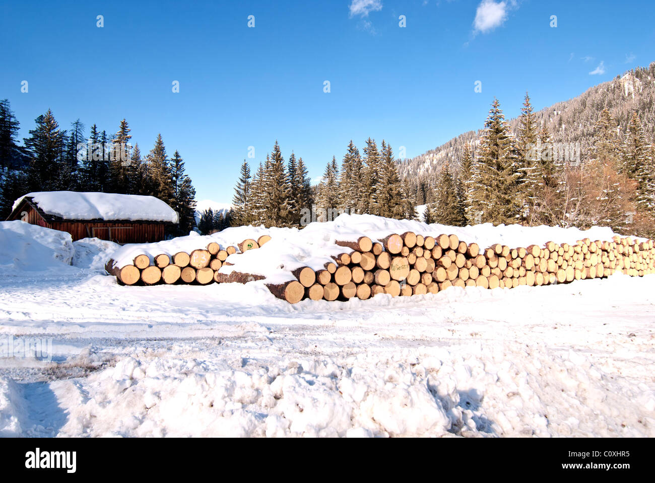 Cold Winter in the Heart of Dolomites, Veneto, Northern Italy Stock ...