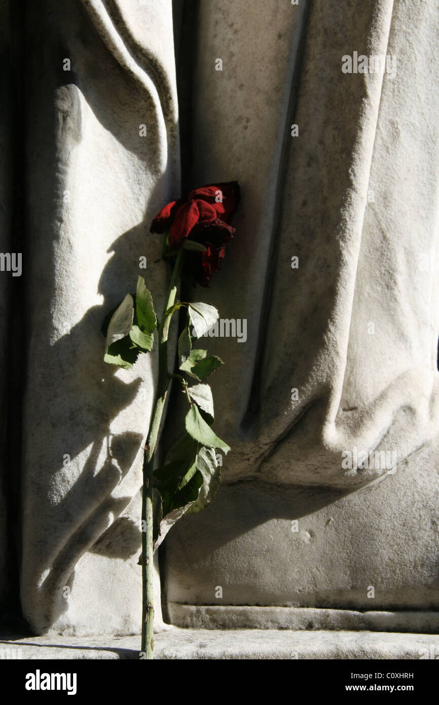 statue with red rose in piazza del popolo square in rome Stock Photo ...