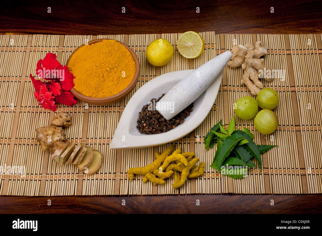 An arrangement of herbs and natural ingredients around a mortar and ...