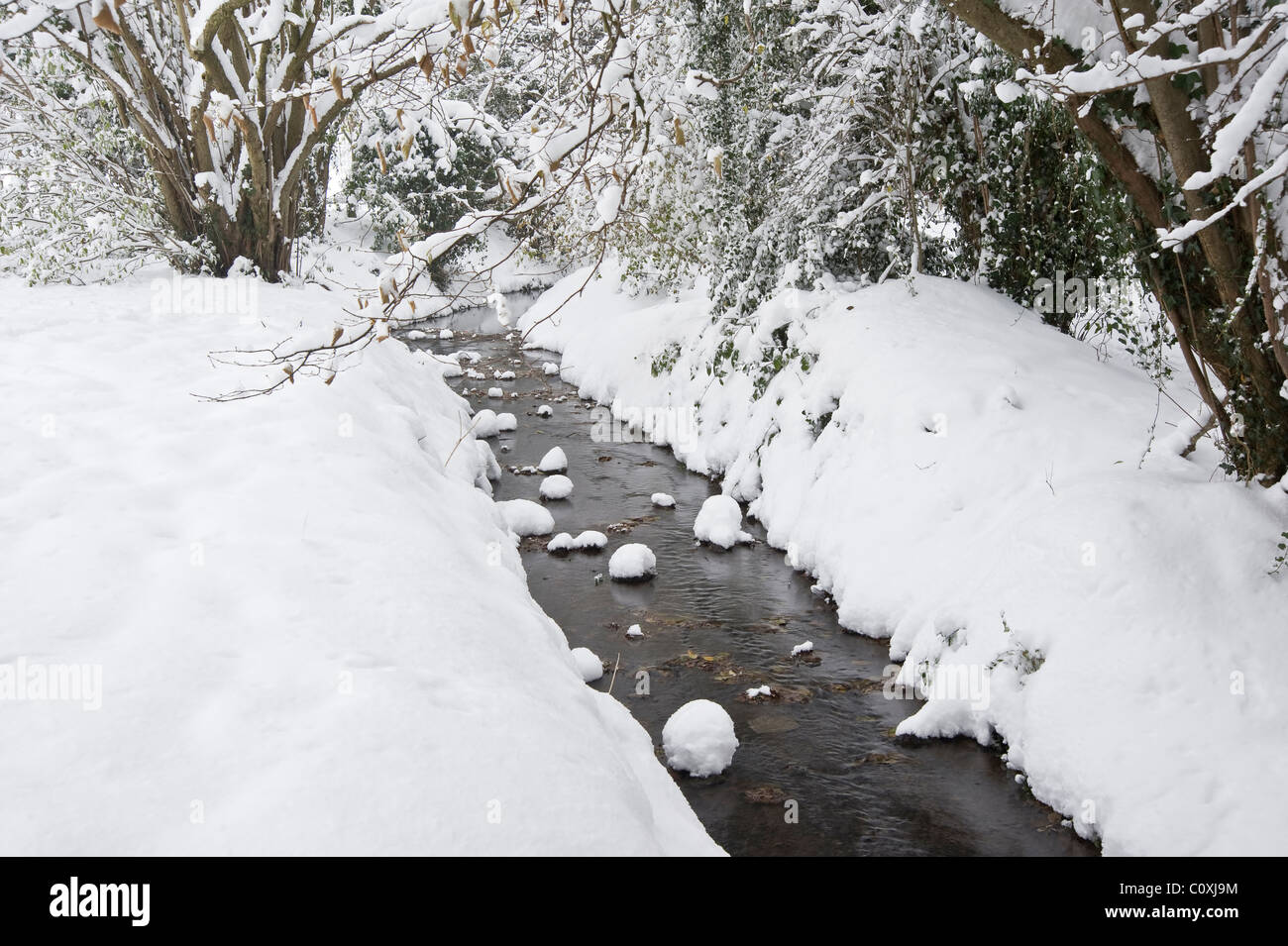 Slow flowing stream running through forest Winter scene with deep ...
