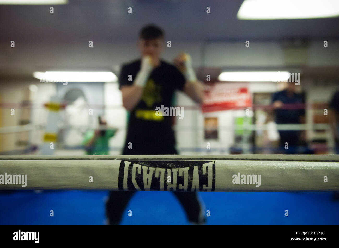 World boxing ring association hi-res stock photography and images - Alamy
