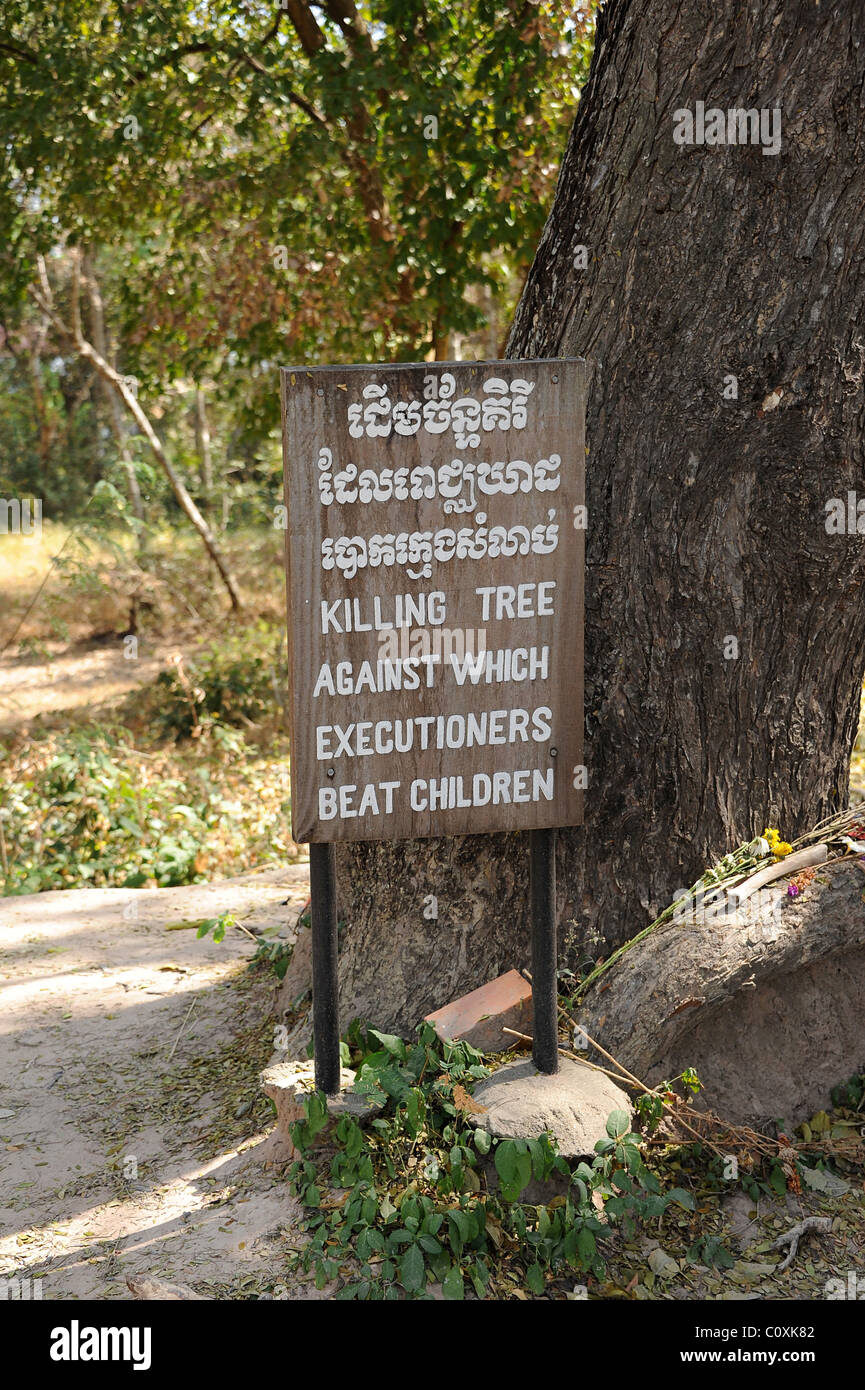 Killing Tree High Resolution Stock Photography and Images - Alamy