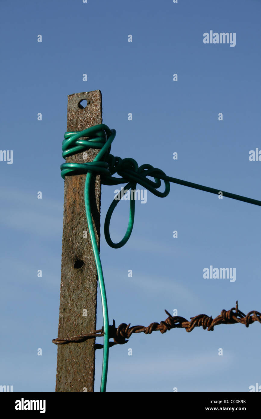 detail of clothes washing line Stock Photo - Alamy