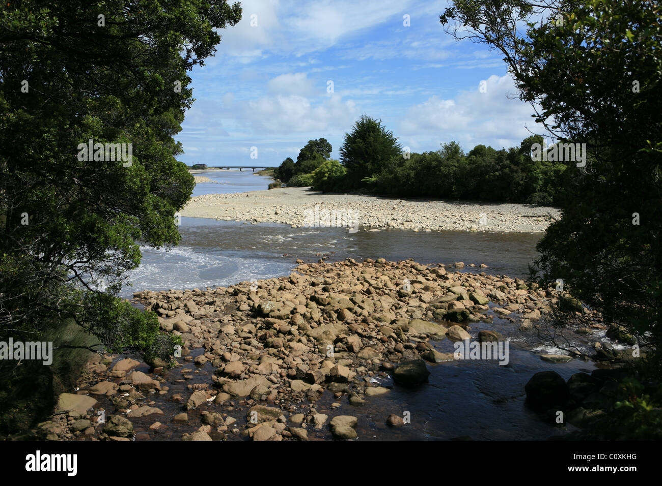 Orikaka forest hi-res stock photography and images - Alamy