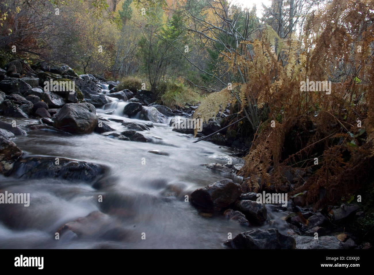 Rushing river water hi-res stock photography and images - Alamy