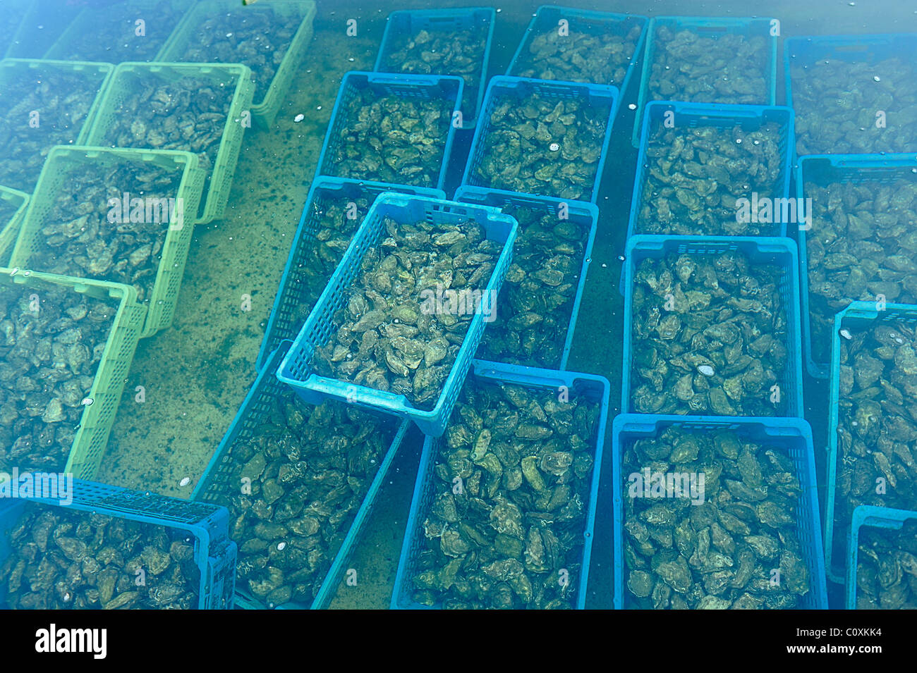 Refining hi-res stock photography and images - Alamy