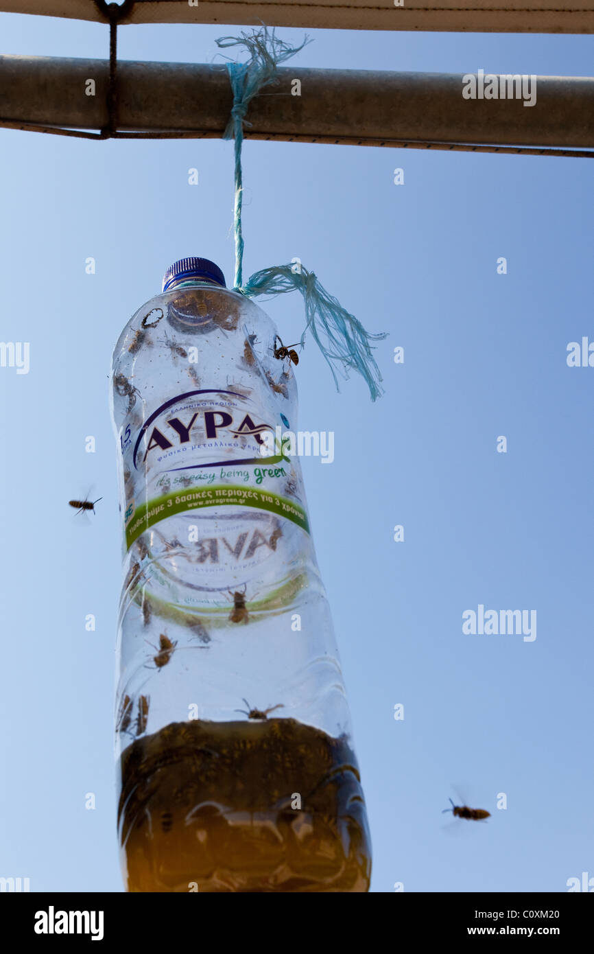 wasp trap greek islands Stock Photo - Alamy