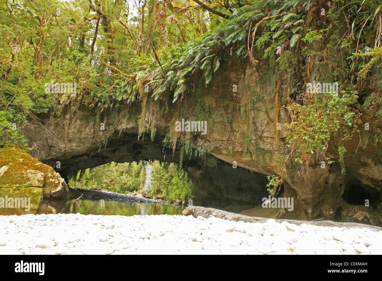 Near Moria Gate cave and arch, Oparara New Zealand Stock Photo - Alamy