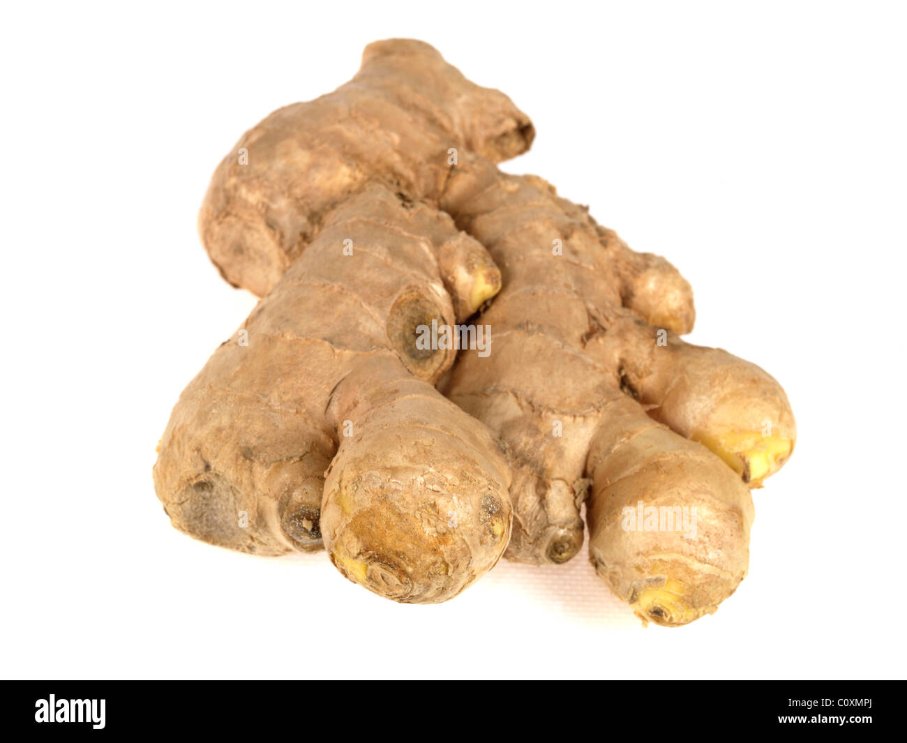 Indian spices cutout hi-res stock photography and images - Alamy