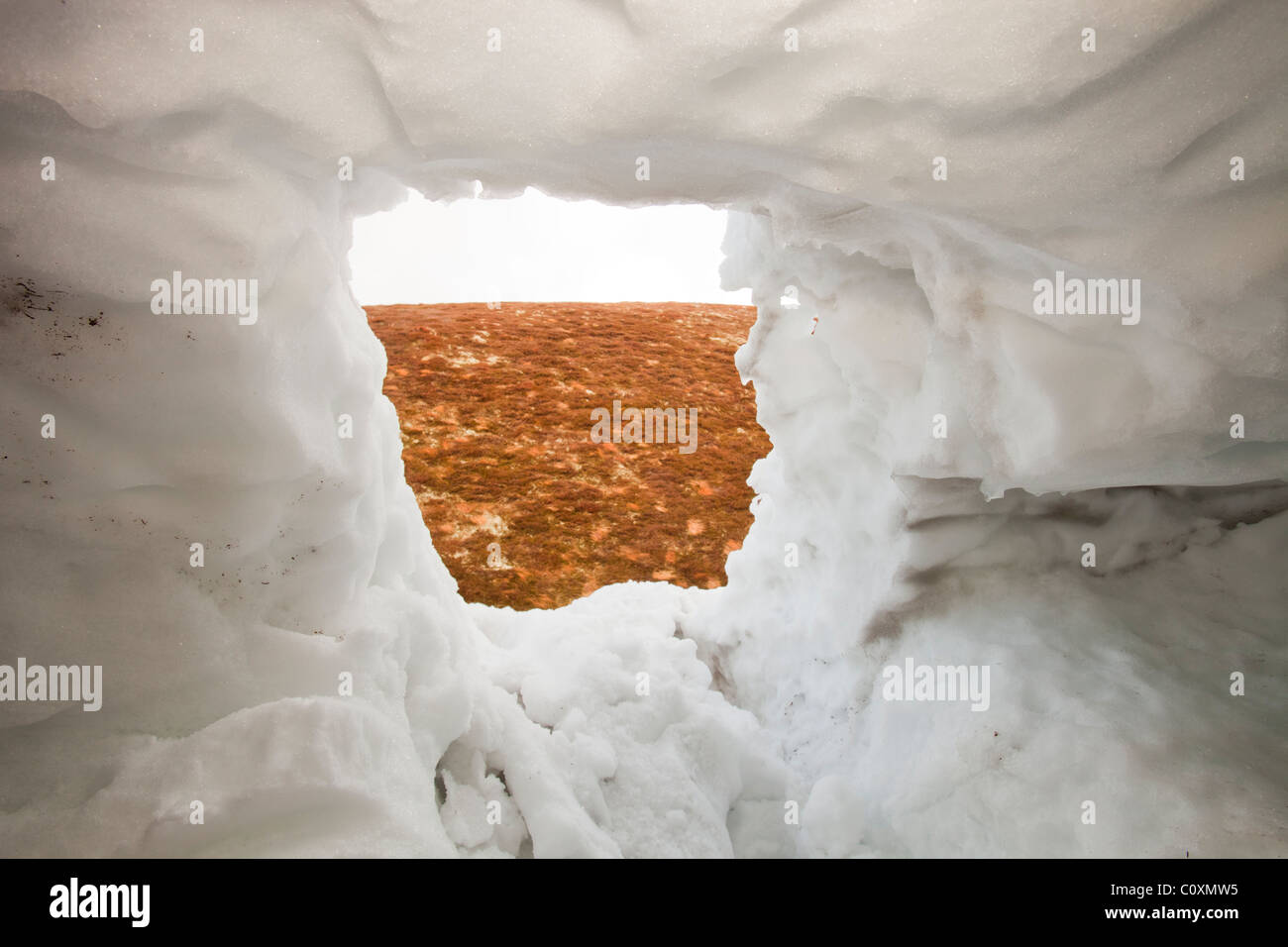 A snow hole dug by moutaineers above Glen Feshie in the Cairngorm ...