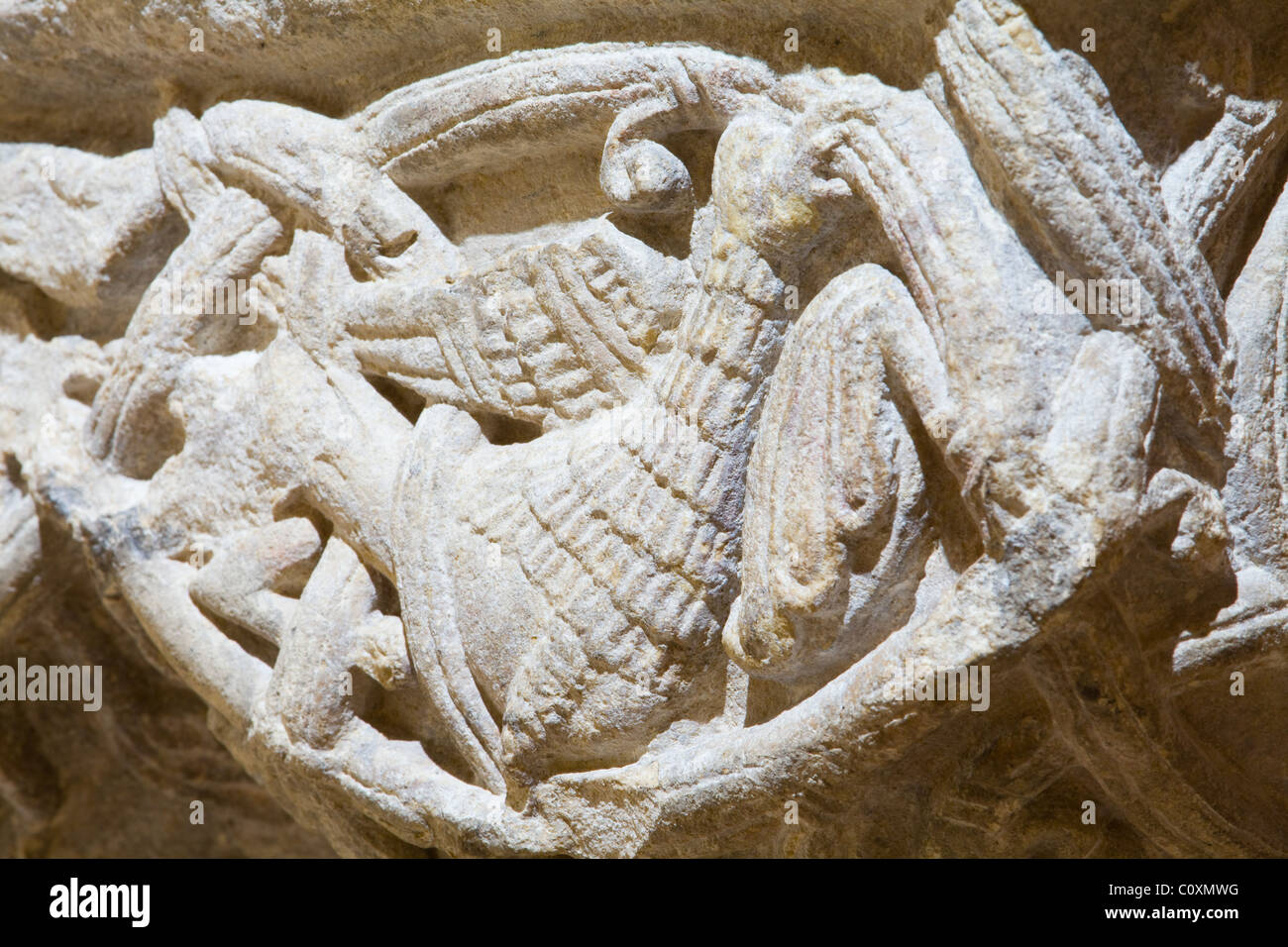 Inside the Hull and East Riding Museum of Archaeology. Hull, East ...