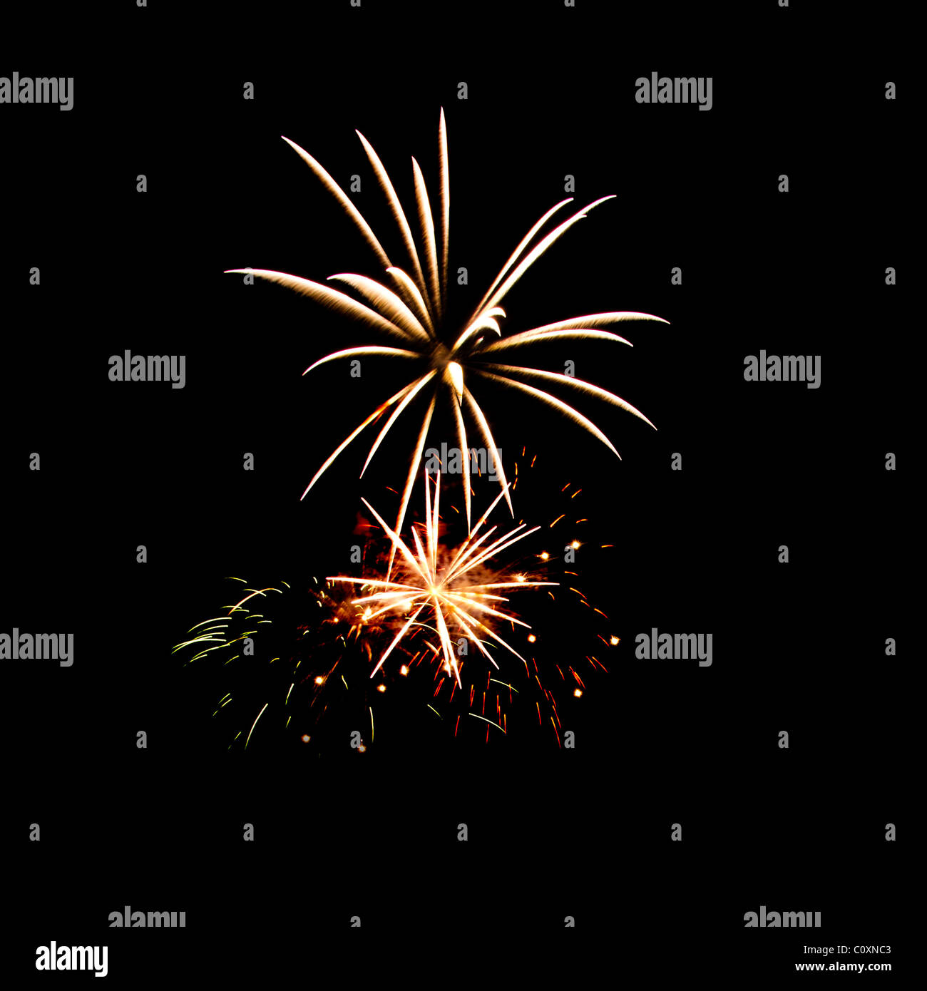 Single firework against a dark background, square format compostiion ...